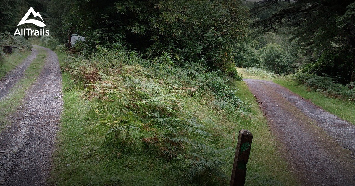 Best trails in Ballyporeen, County Tipperary | AllTrails