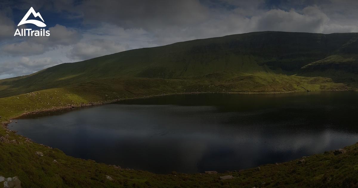 Best forest trails in Bansha | AllTrails