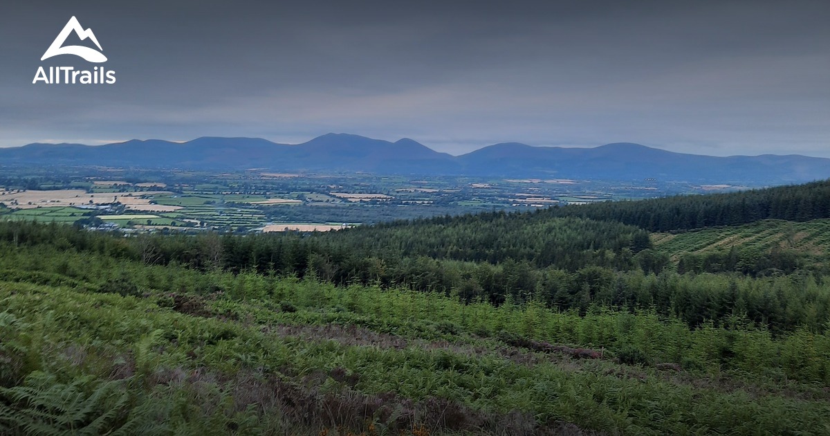 Best forest trails in Kilcommon | AllTrails