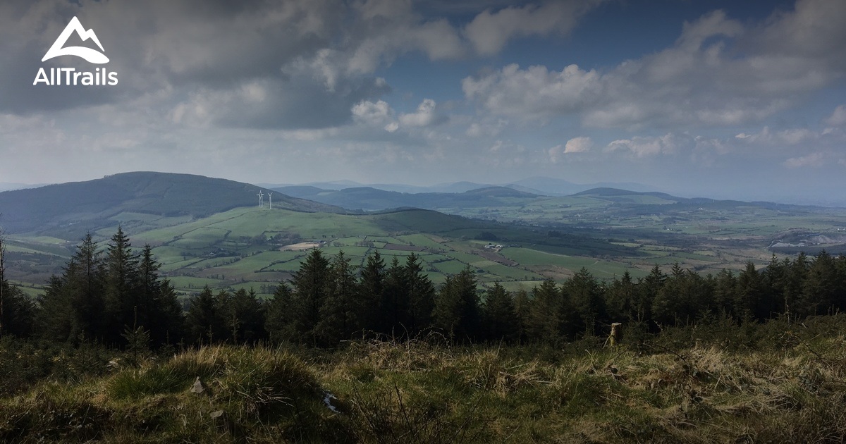 Best forest trails in Templemore | AllTrails