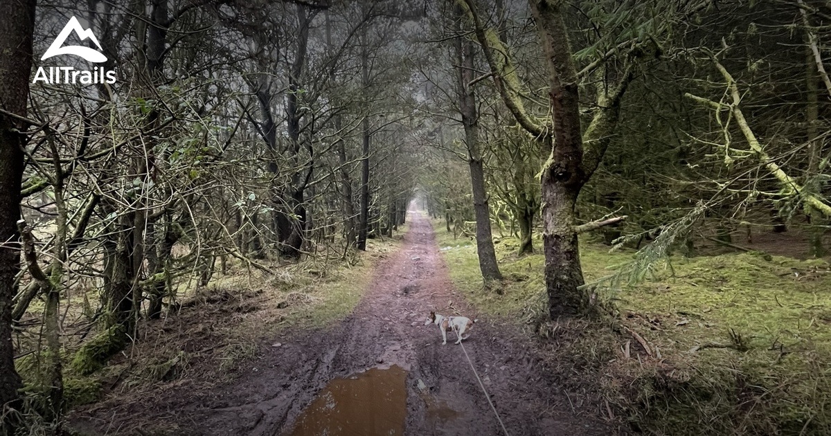 Best hikes and trails in Ballymacarbry | AllTrails