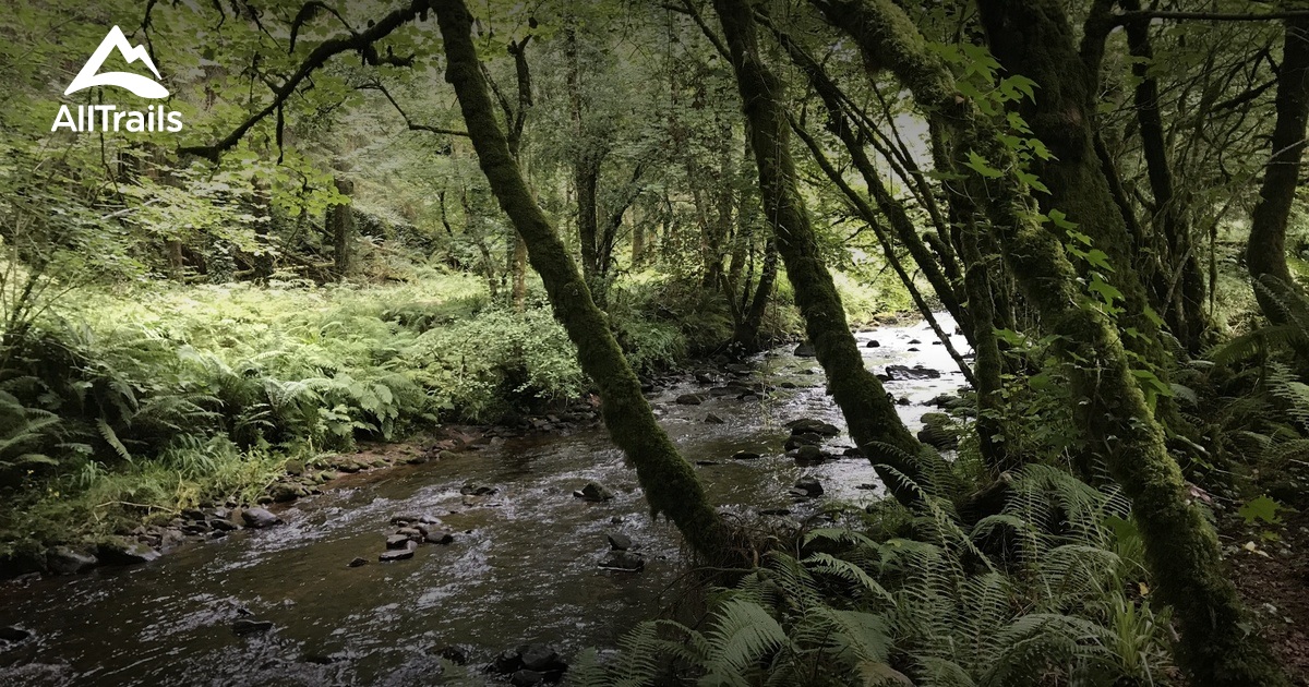 Best walking trails in Cappoquin | AllTrails