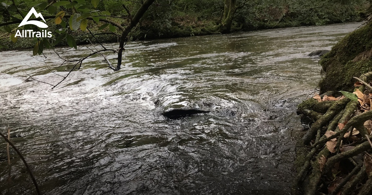 Best hikes and trails in Colligan | AllTrails