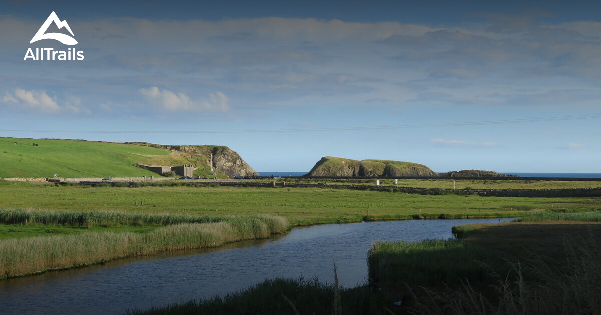 Best forest trails in Dunhill | AllTrails