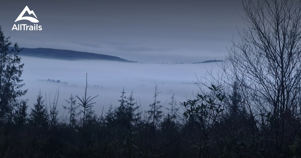 Best river trails in Portlaw | AllTrails