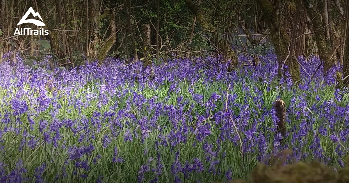 Best hikes and trails in Kilbeggan | AllTrails