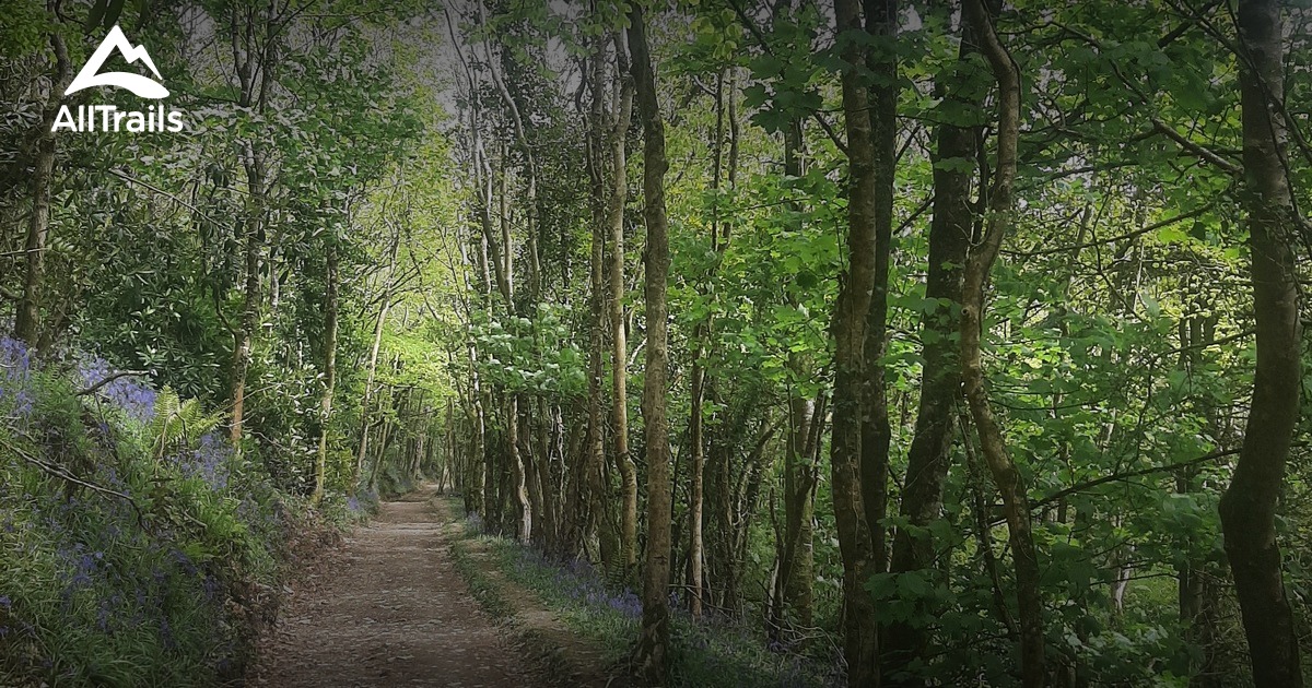 Best walking trails in Ballyhack | AllTrails