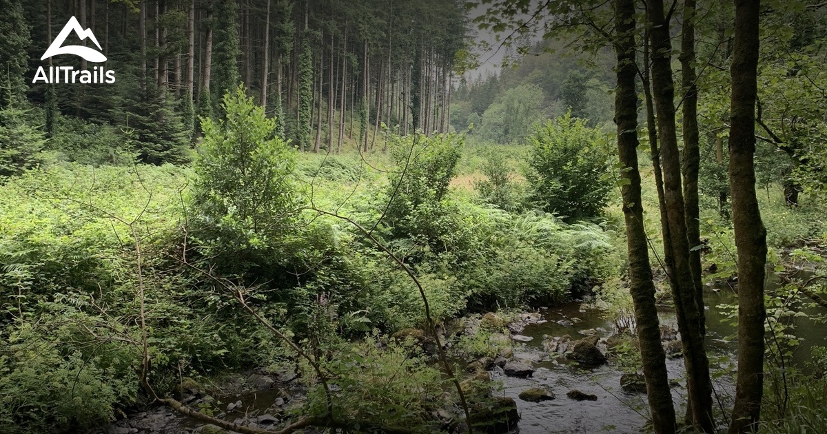 Best historic site trails in Ballycullen | AllTrails