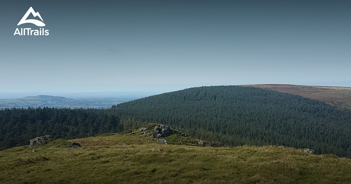 Best Hikes and Trails in Donaghmore | AllTrails