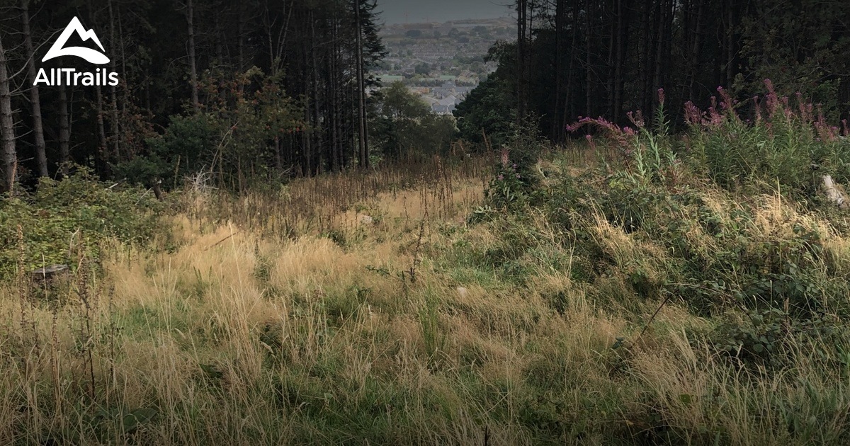 Best hikes and trails in Greystones | AllTrails