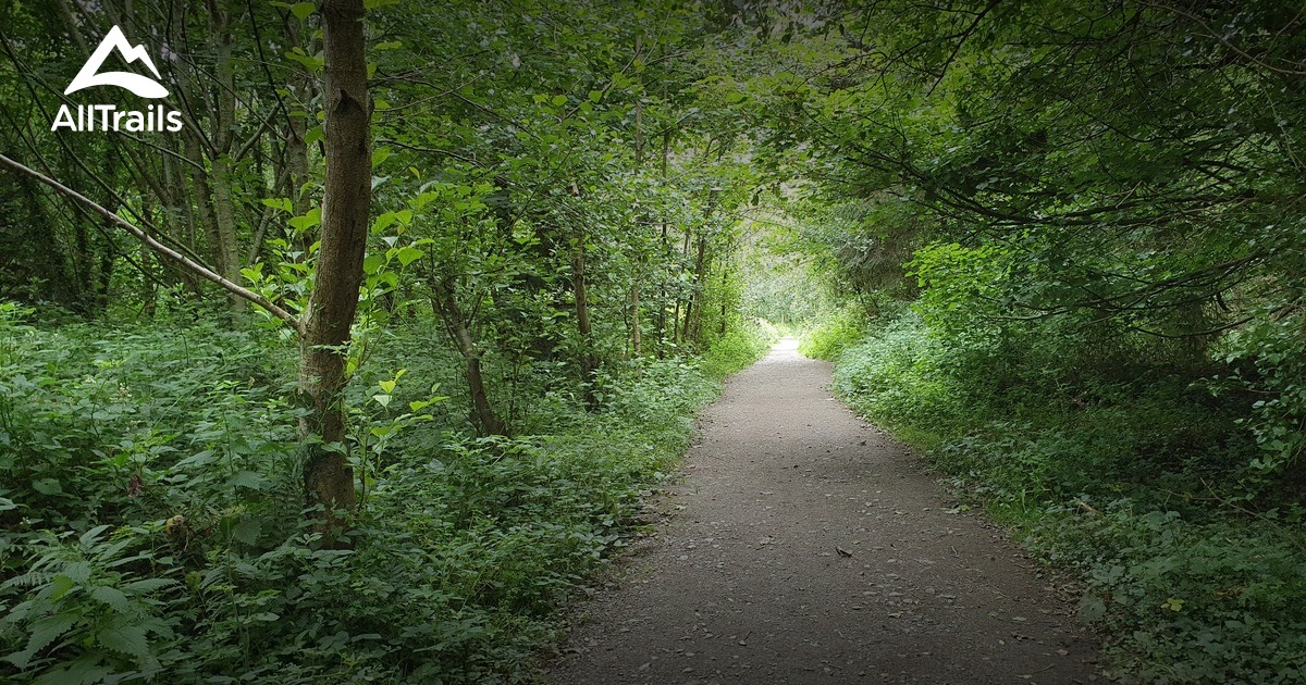 Best walking trails in Newcastle Upper | AllTrails