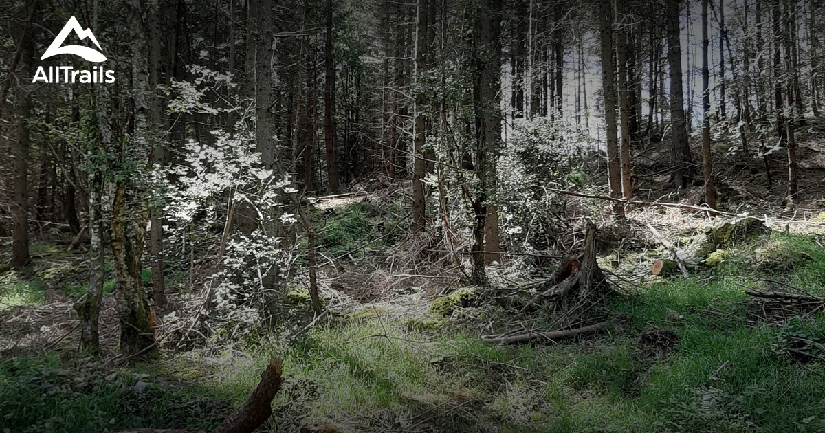 Best hikes and trails in Newtownmountkennedy | AllTrails