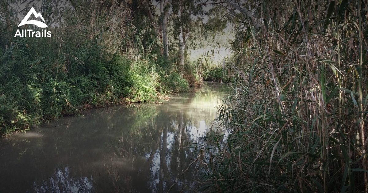 10 Best easy trails in Hod HaSharon | AllTrails