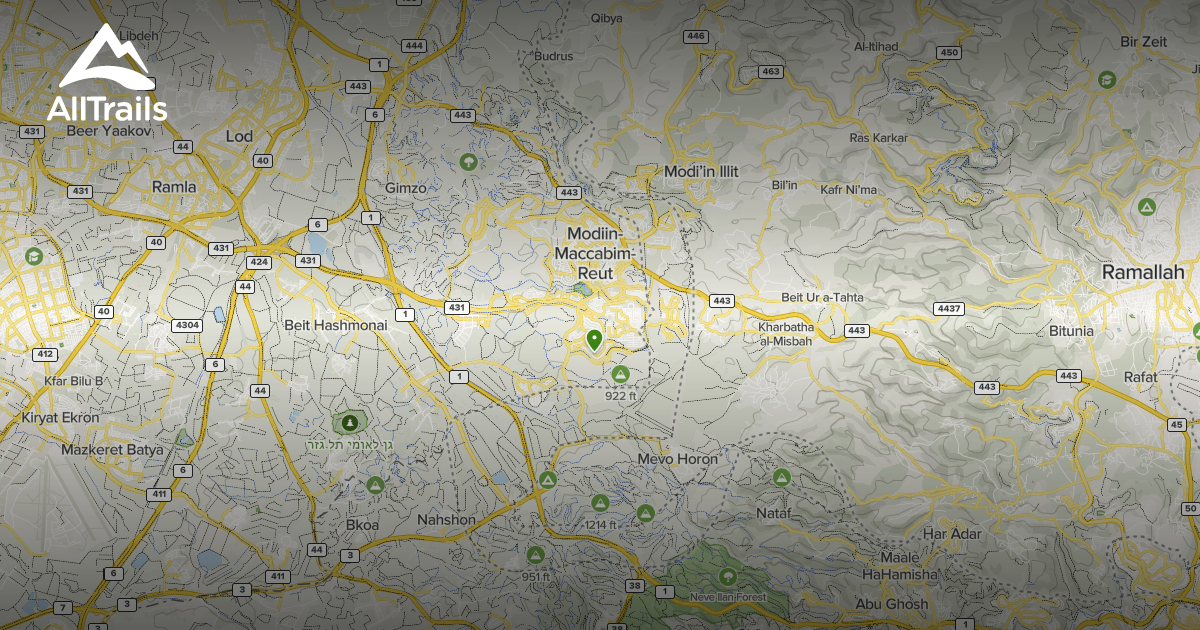 10 Best forest trails in Modiin-Maccabim-Reut | AllTrails