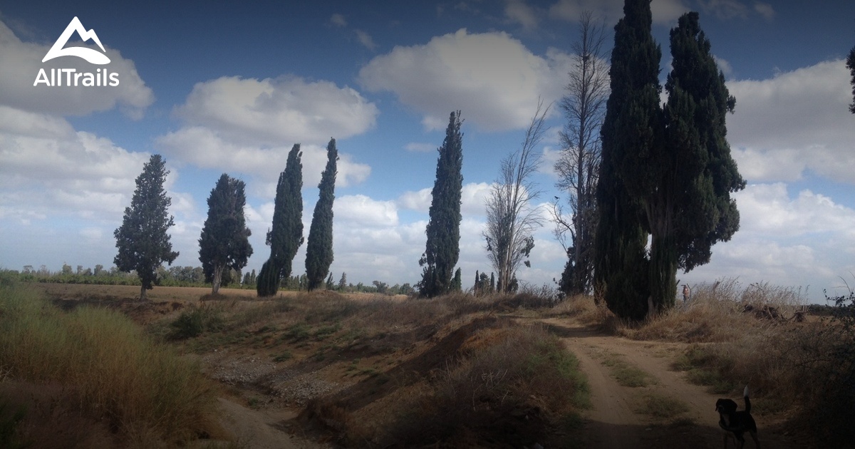 Best hikes and trails in Rehovot | AllTrails