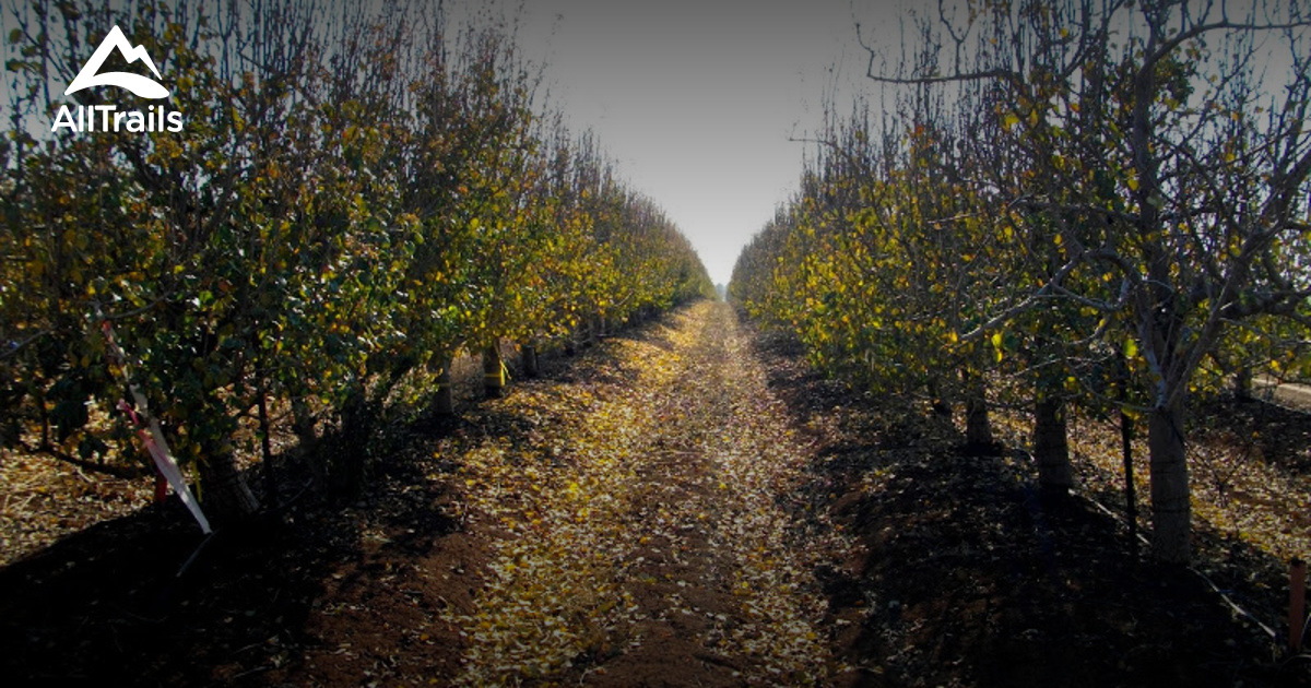 Best camping trails in Mevo Hama | AllTrails