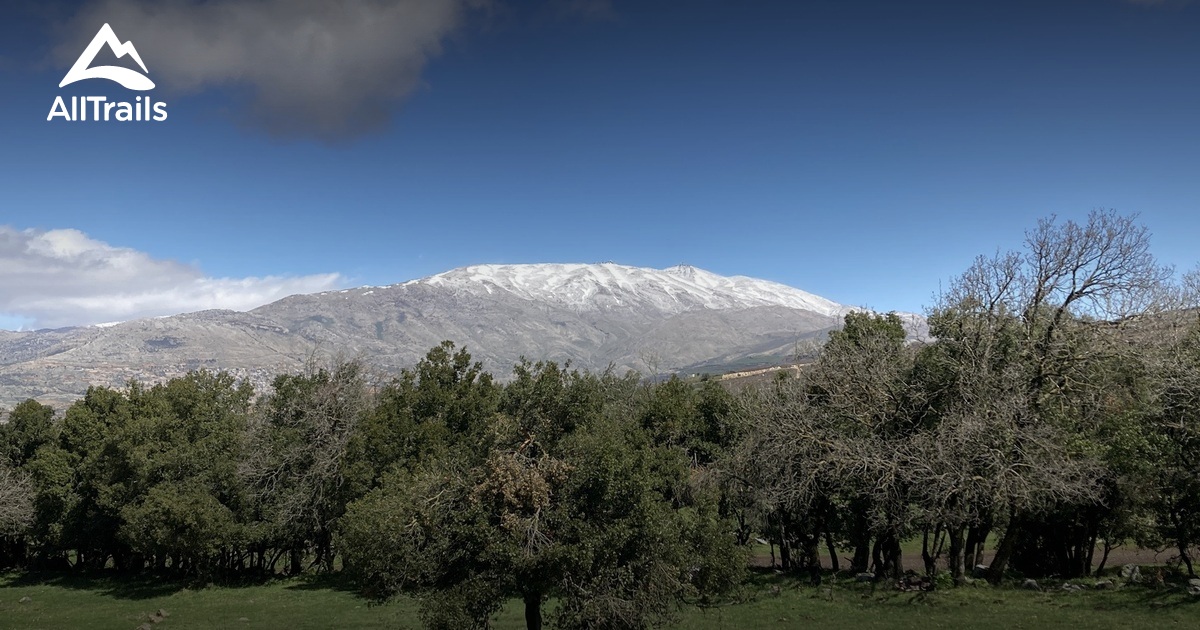 Best hikes and trails in Odem | AllTrails