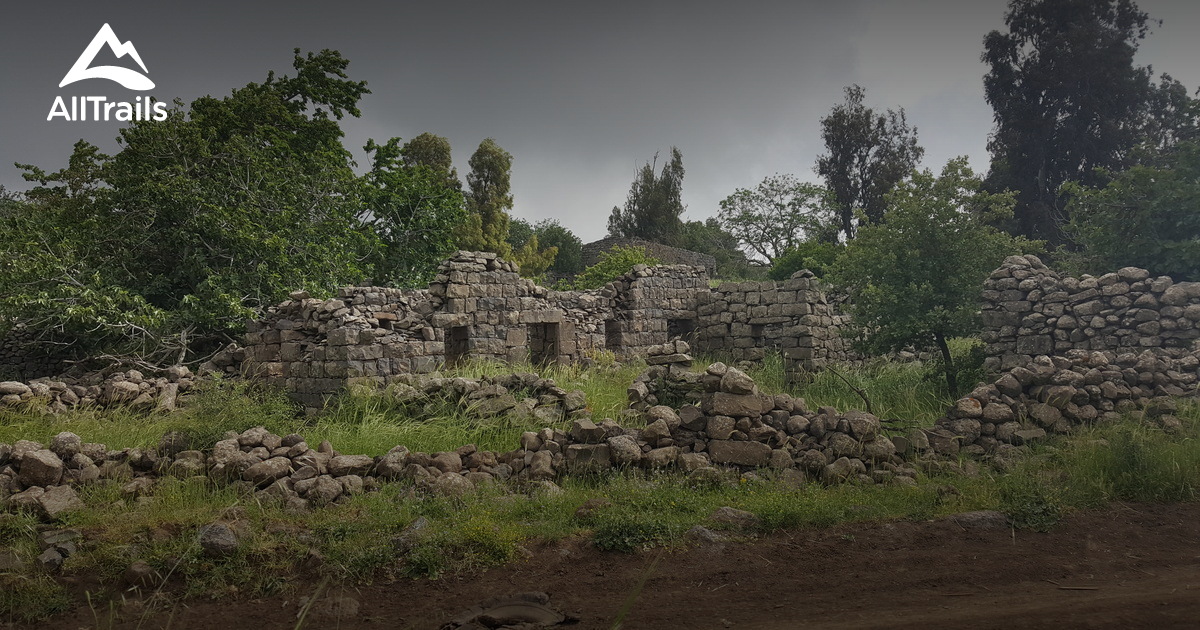 Best hikes and trails in Ortal | AllTrails