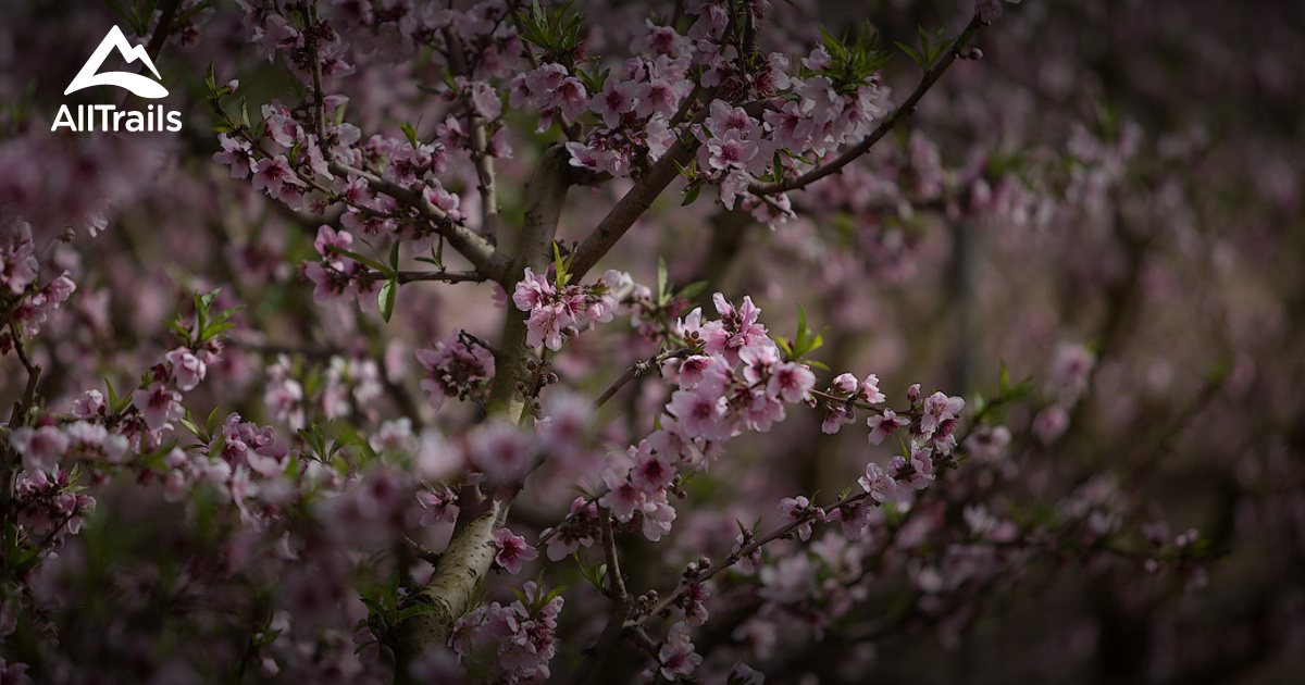 Best historic site trails in Aviel | AllTrails