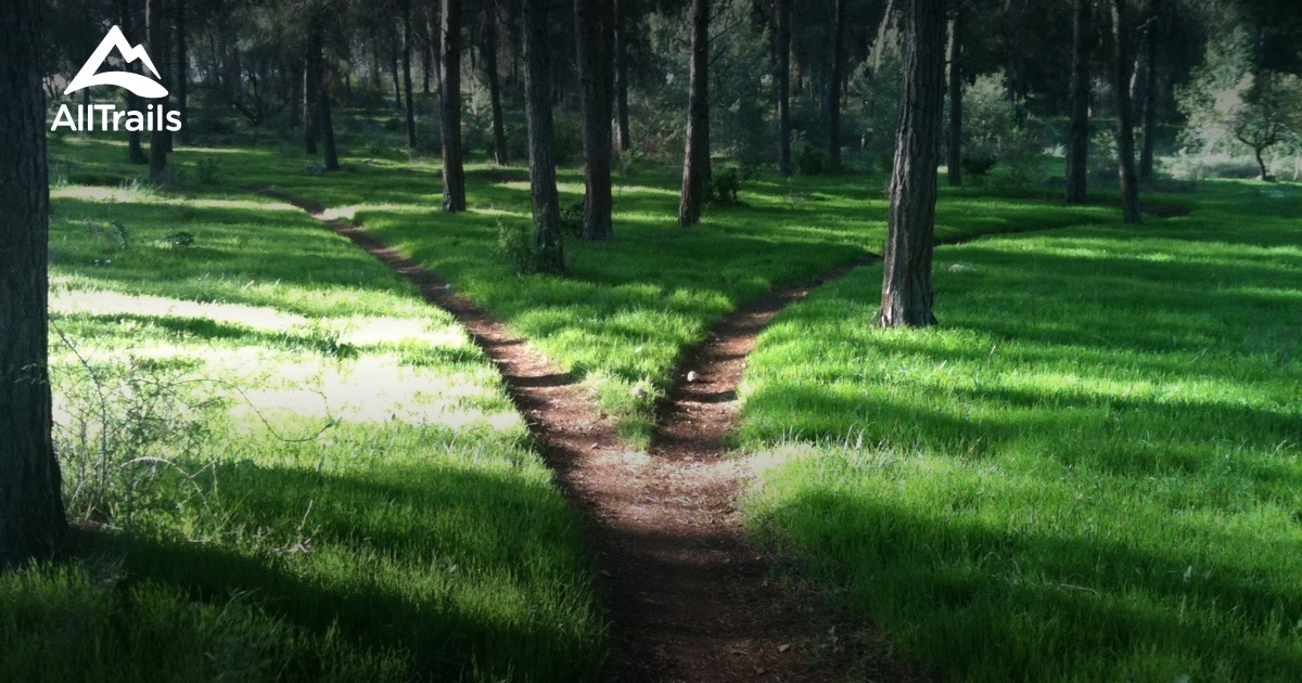 Best river trails in Maanit | AllTrails