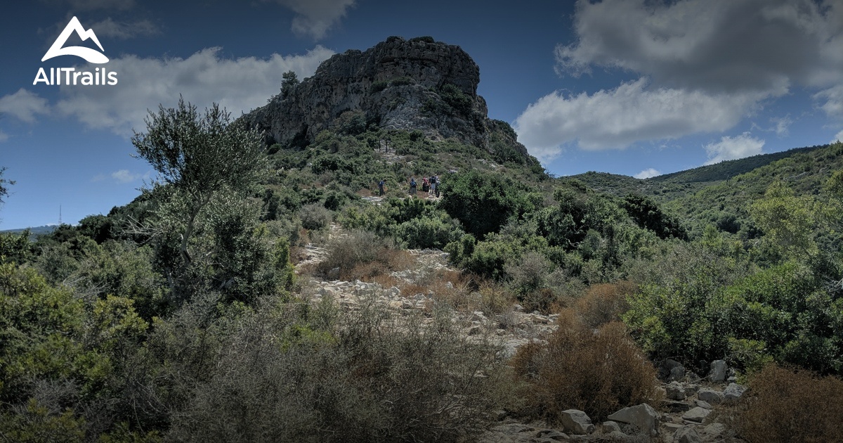 Best hikes and trails in Tirat HaCarmel | AllTrails