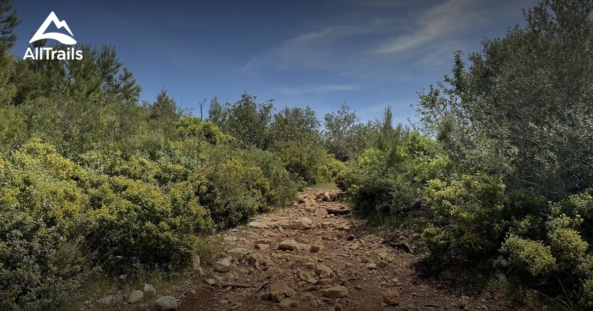 Best hikes and trails in Yemin Ord | AllTrails