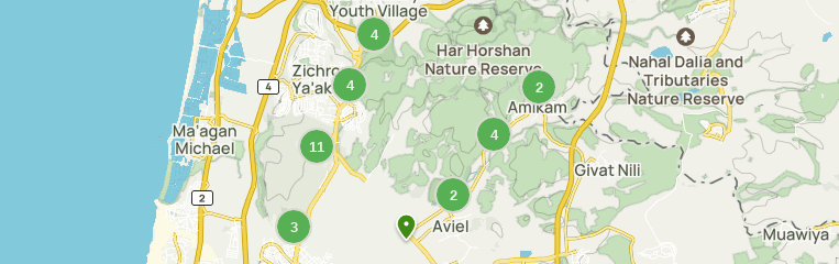 10 Best Trails and Hikes in Zichron Ya'akov | AllTrails