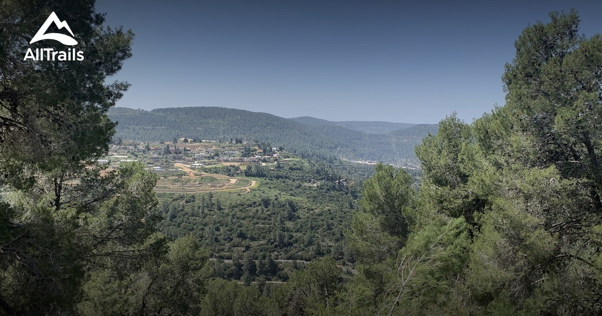 Best Hikes and Trails in Beit Zayit | AllTrails