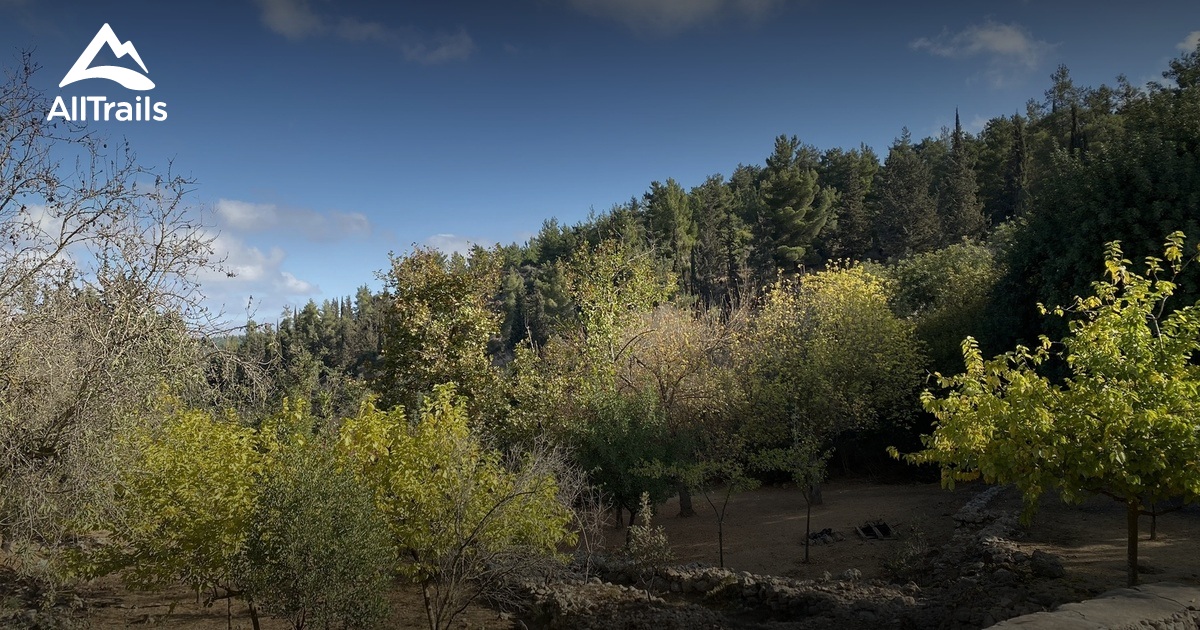 Best hikes and trails in Ein Rafa | AllTrails