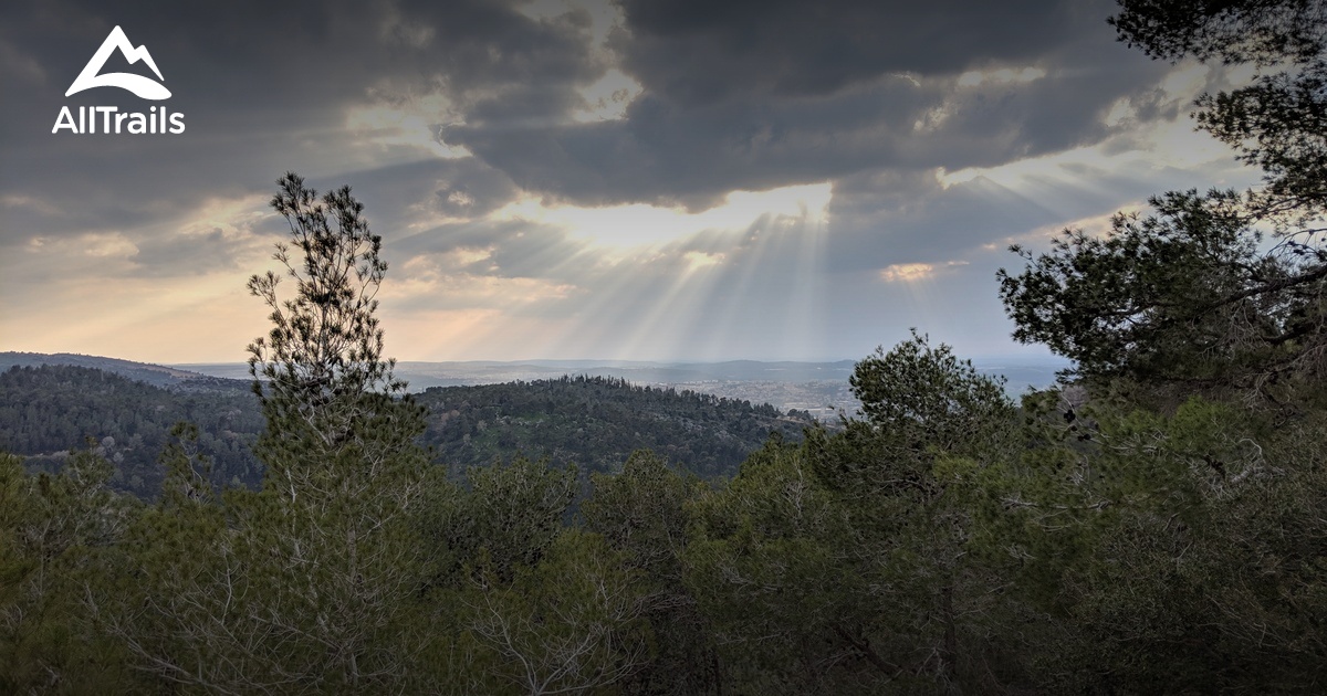 10 Best forest trails in Eshtaol | AllTrails