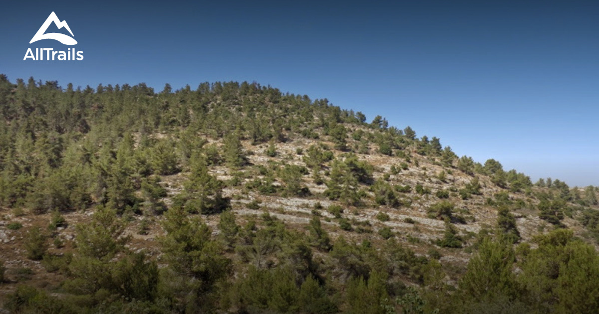 Best walking trails in Kiryat Anavim | AllTrails