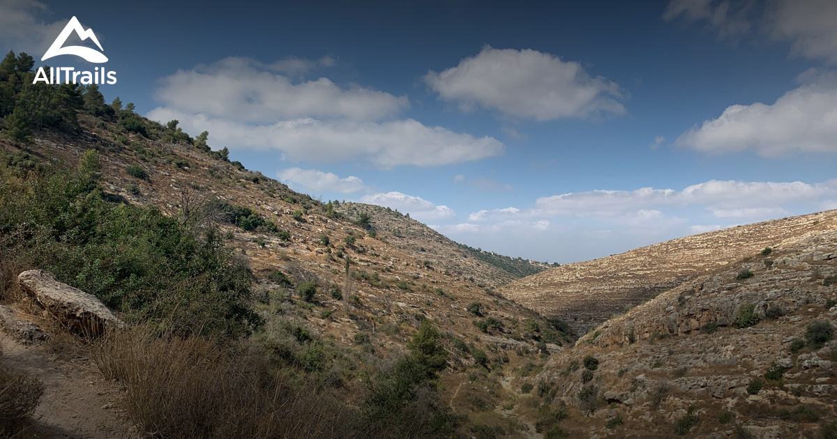 Best hikes and trails in Nataf | AllTrails