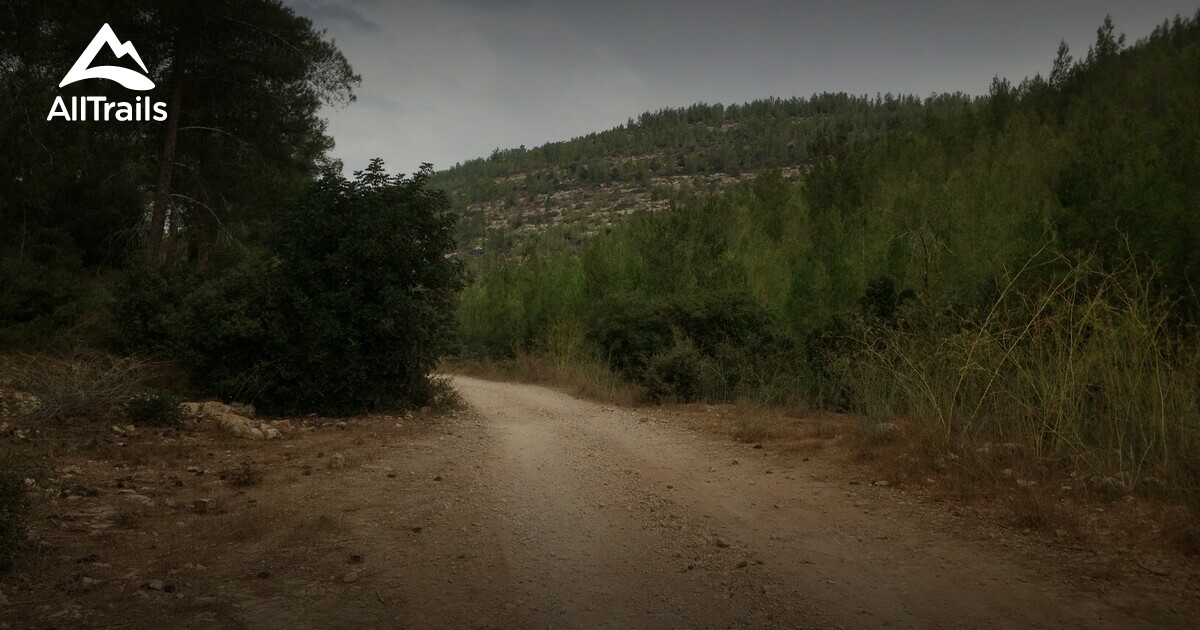 Best hikes and trails in Neve Ilan | AllTrails
