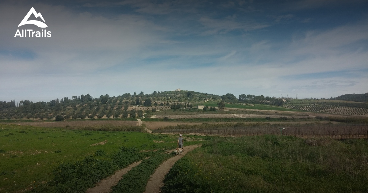 Best Trails, Walks, and Paths in Tal Shachar | AllTrails