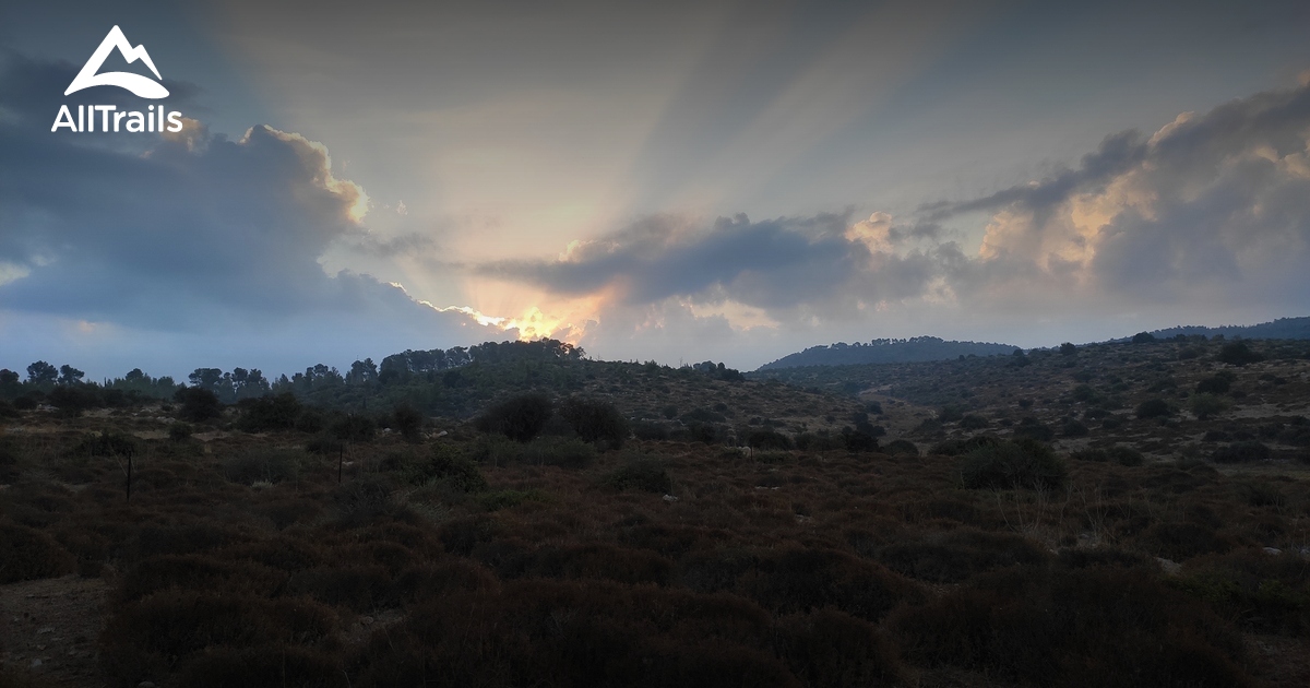 Best walking trails in Zecharya | AllTrails