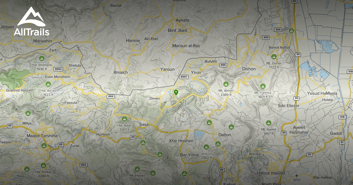 Najlepsze długie szlaki w: Bar`am | AllTrails