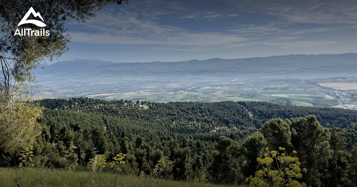 Best hikes and trails in Birya | AllTrails