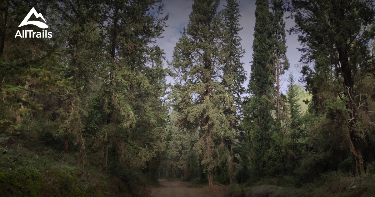 2023 Best Easy Trails in Ein HaShofet | AllTrails