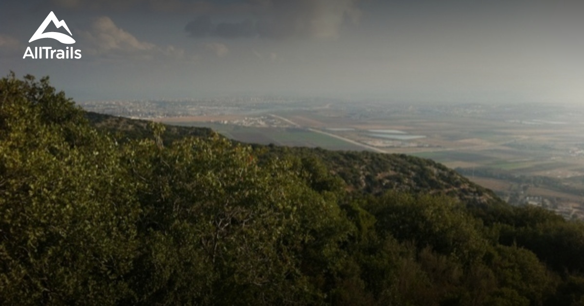 Best hikes and trails in Elyakim | AllTrails