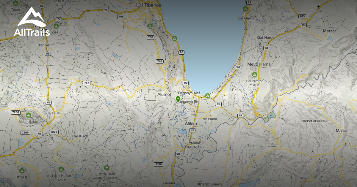 Kinneret Kvutza: as melhores trilhas com lagos | AllTrails