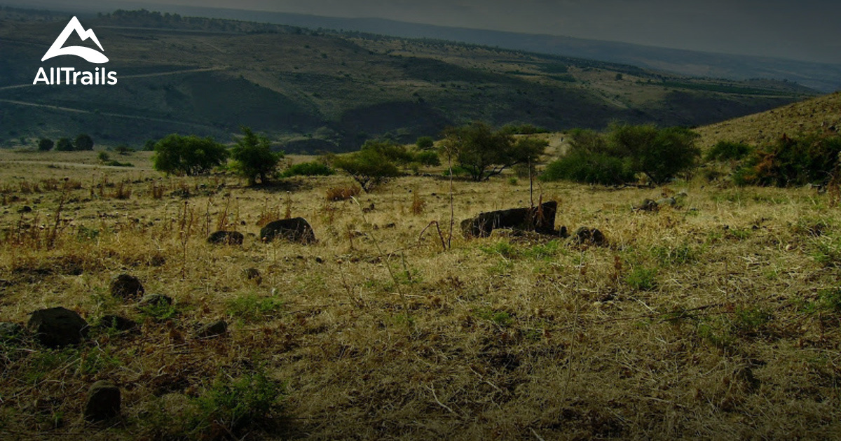 Best long trails in Mahanayim | AllTrails