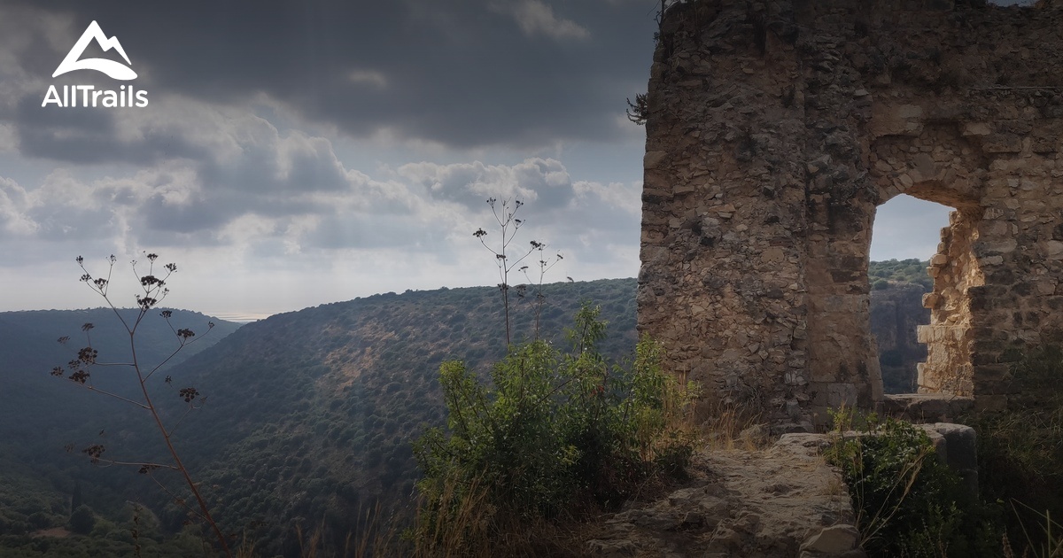 10 Best bird watching trails in Mitzpe Hila | AllTrails