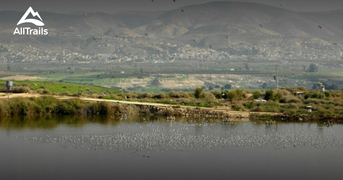 Bedste nemme ruter i Nir David | AllTrails