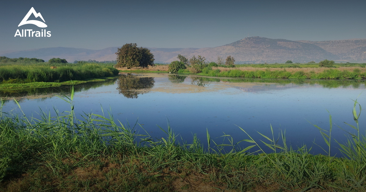 Best forest trails in Ramot Naftali | AllTrails