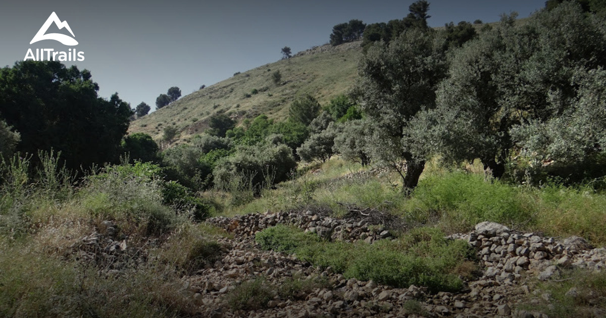 Best long trails in Rosh Pina | AllTrails