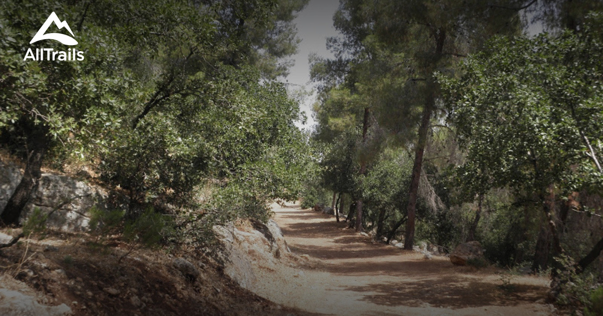 Best Hikes and Trails in Shibli | AllTrails