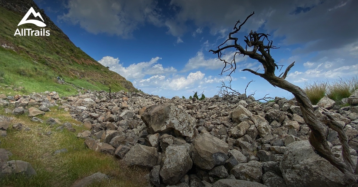 Best long trails in Yavneel | AllTrails