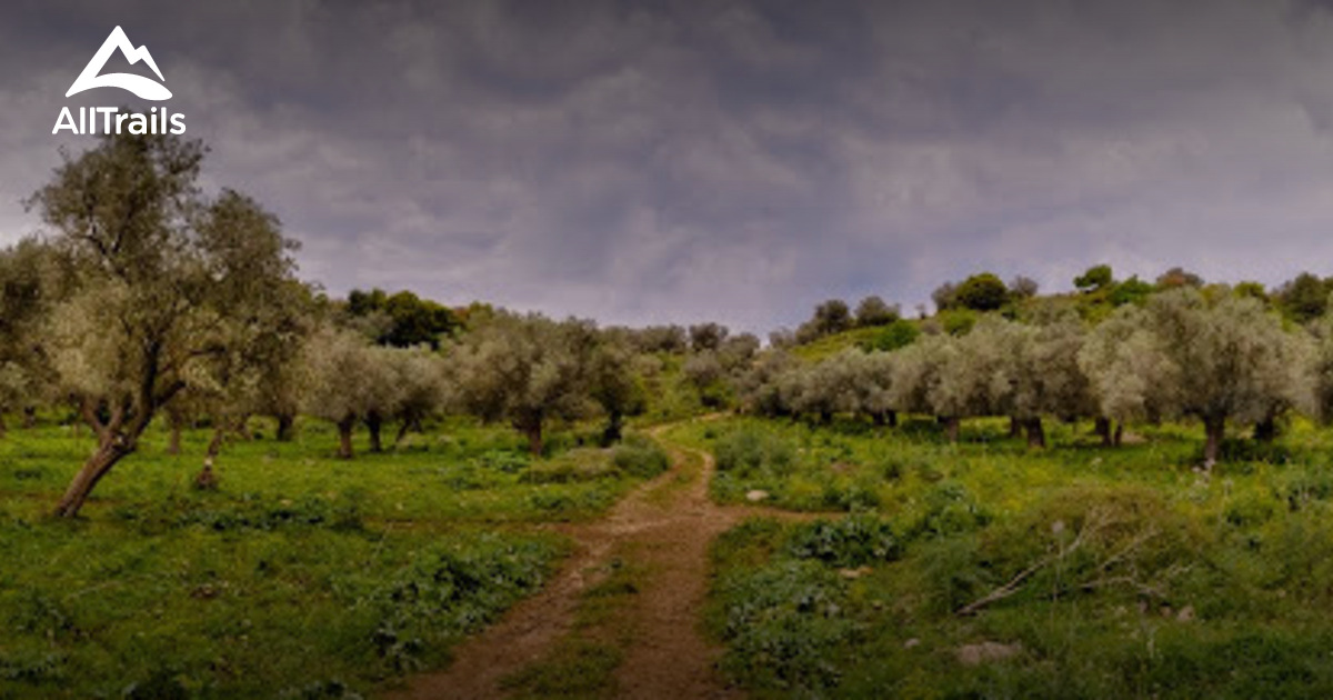 10 Best trails and hikes in Yokneam Ilit | AllTrails