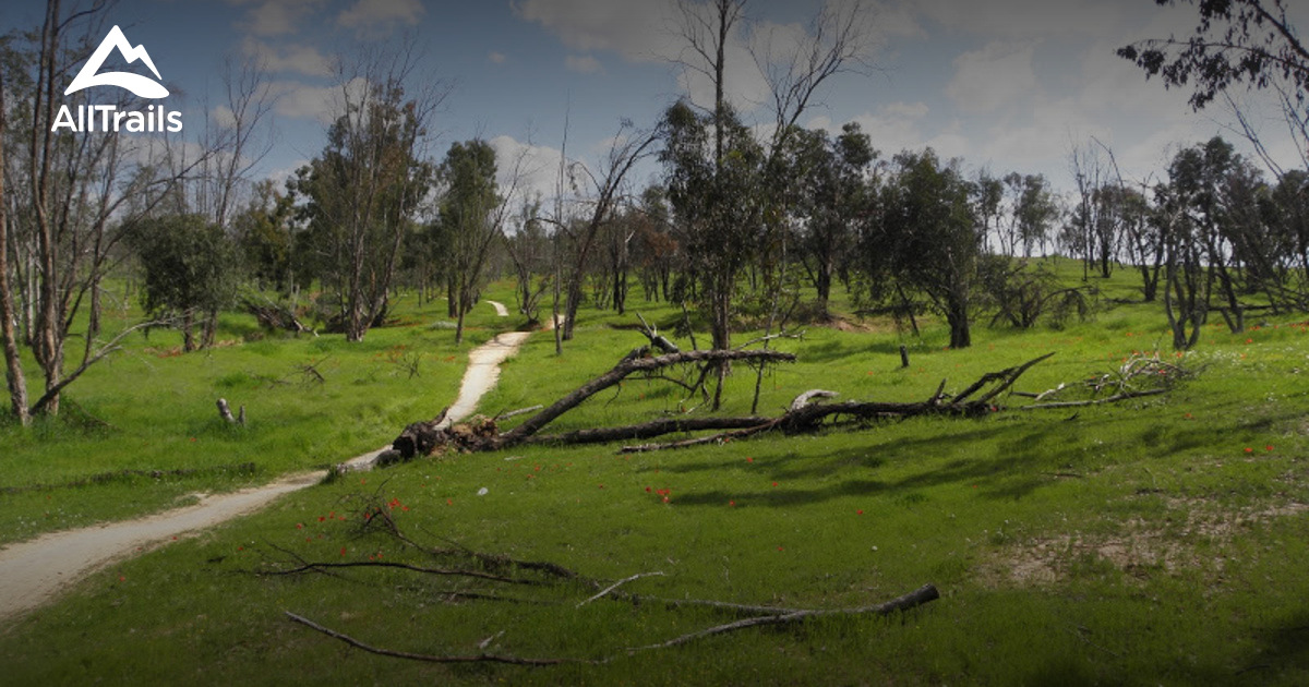 10 Best trails and hikes in Beeri | AllTrails