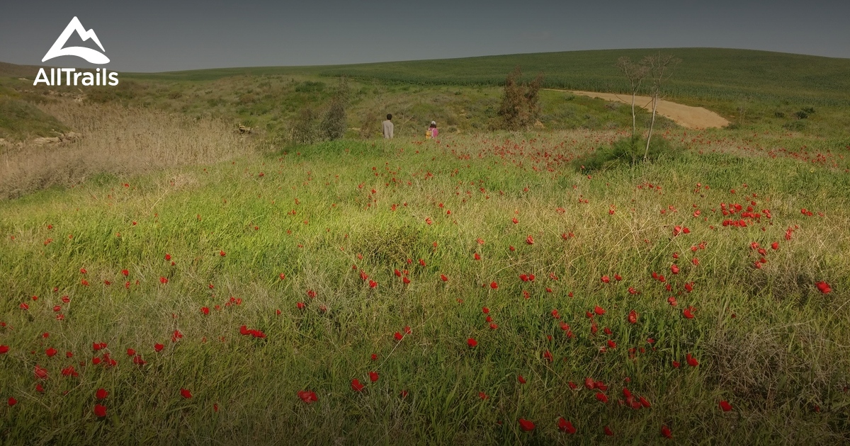 Best Hikes and Trails in Shalva | AllTrails